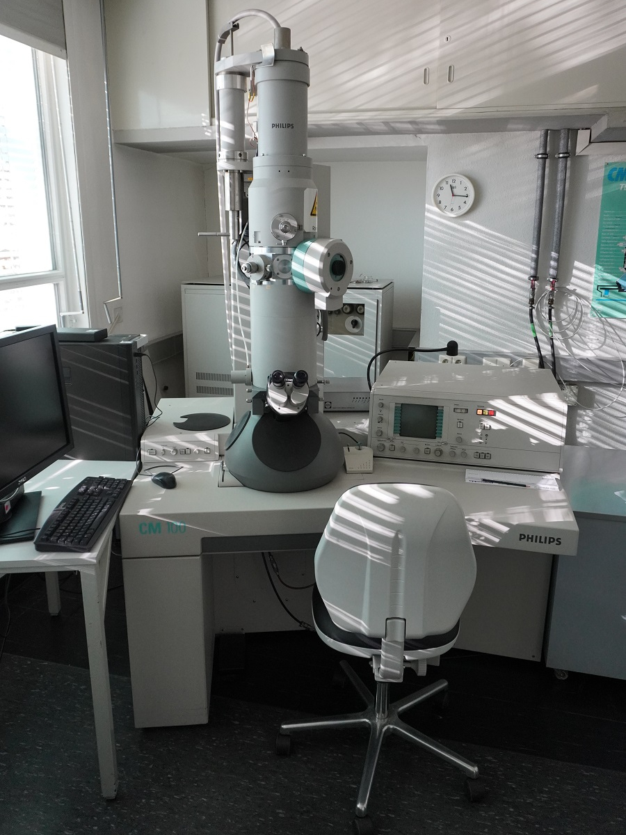 Electron Microscopy | Neuroanatomy